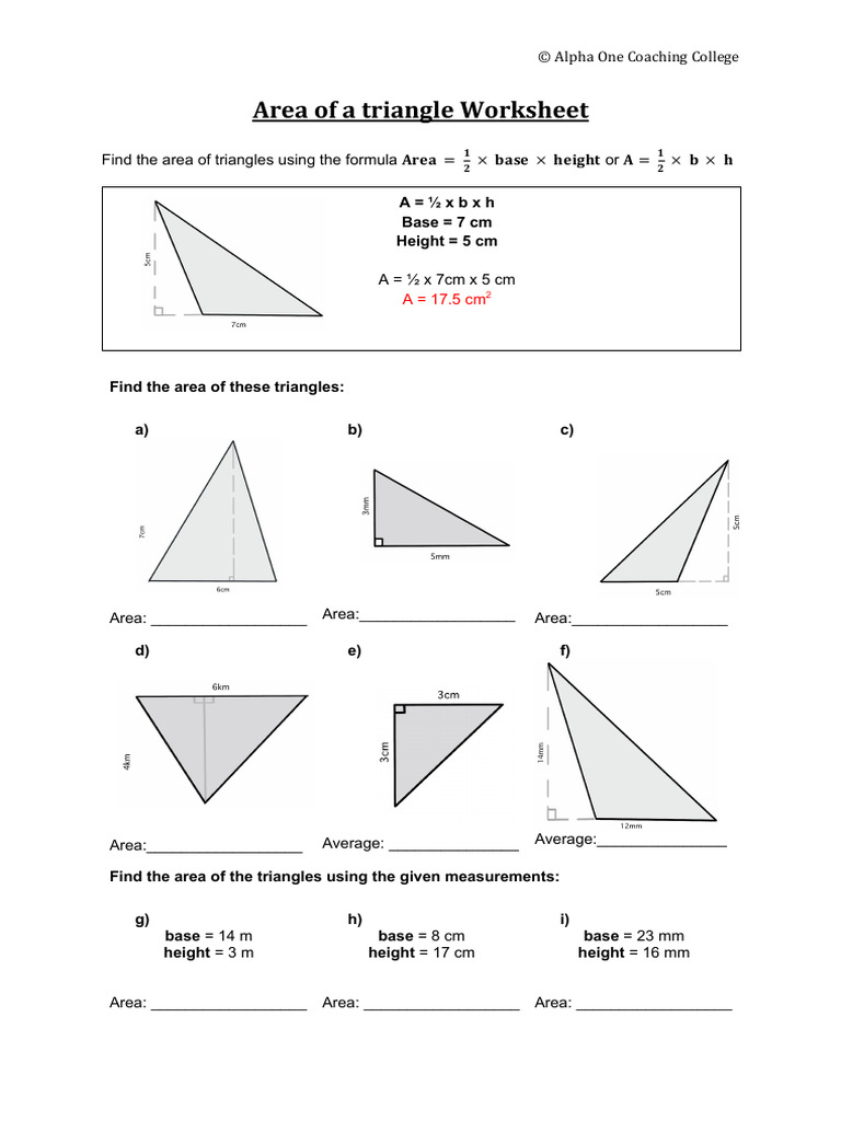 Area of Triangle Worksheet | PDF | Area | Geometric Measurement