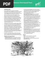 Hate Monologue Script | PDF