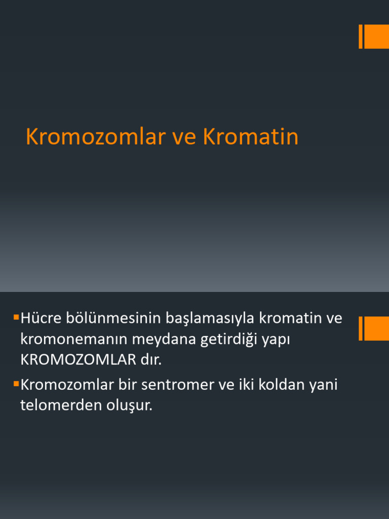 Kromozomlar ve Kromatin | PDF