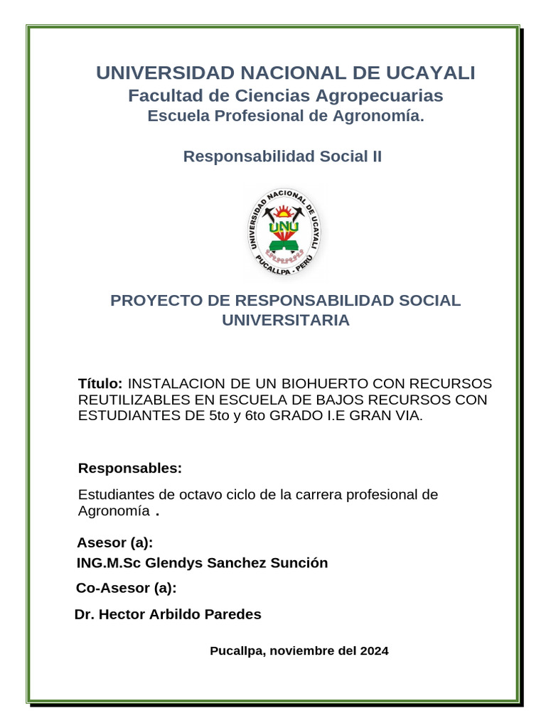 Borrador Proyecto de RS | PDF