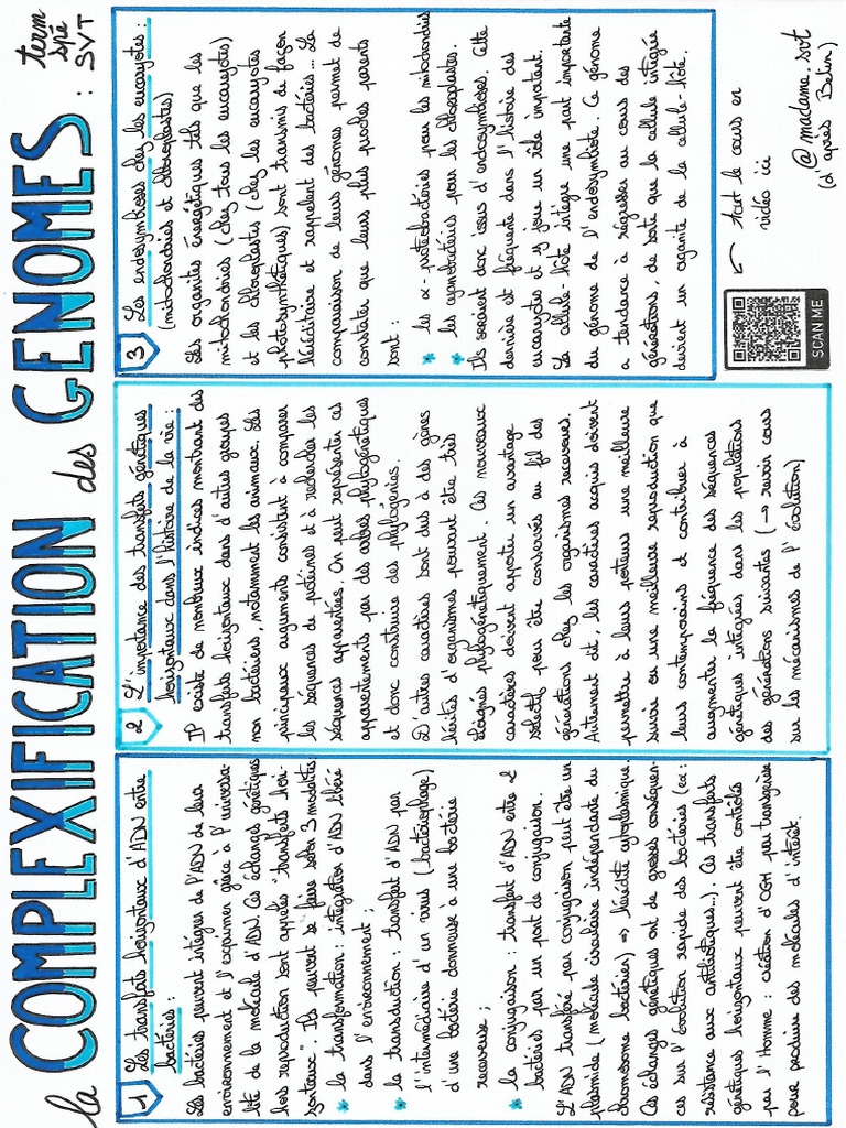 2 - La Complexification Des Génomes | PDF