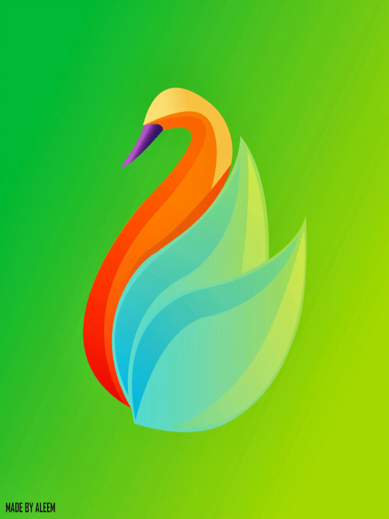 Aleem Assignment | PDF