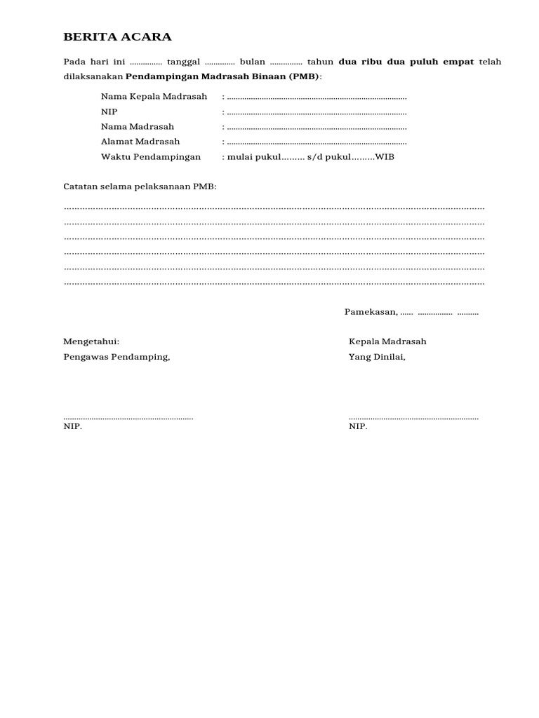 0.berita Acara Pendampingan | PDF