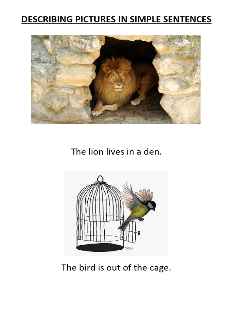 Describing Pictures 2 | PDF