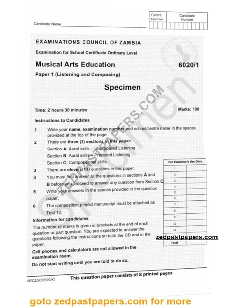 g12 Music 2020 Specimen | PDF