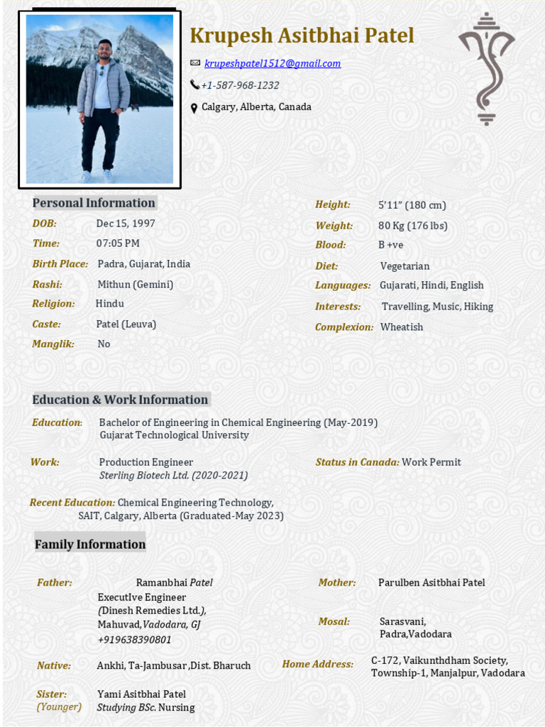 Krupesh Biodata-3 | PDF