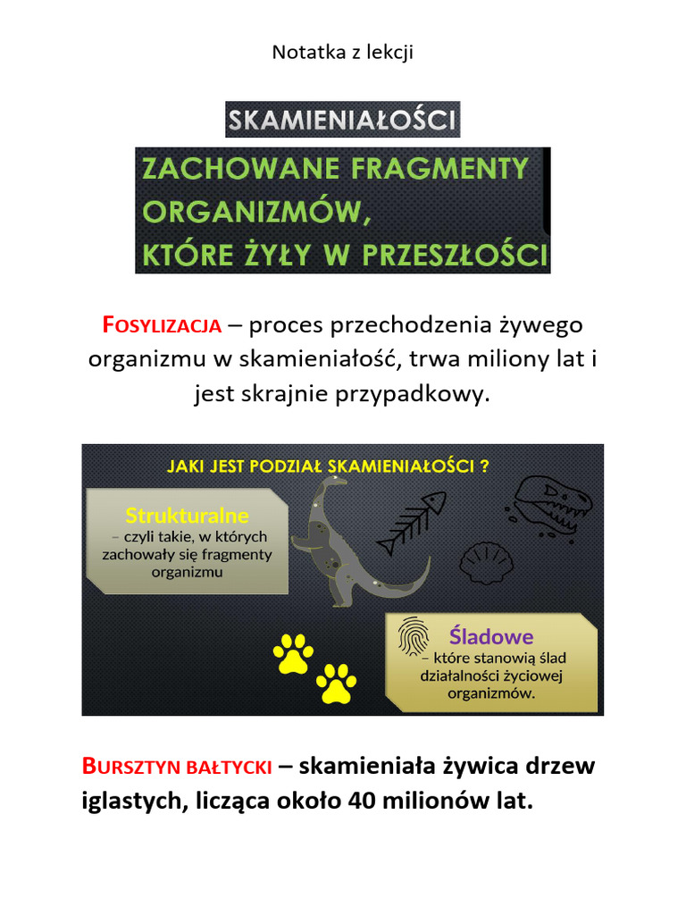 Notatka-z-lekcji | PDF