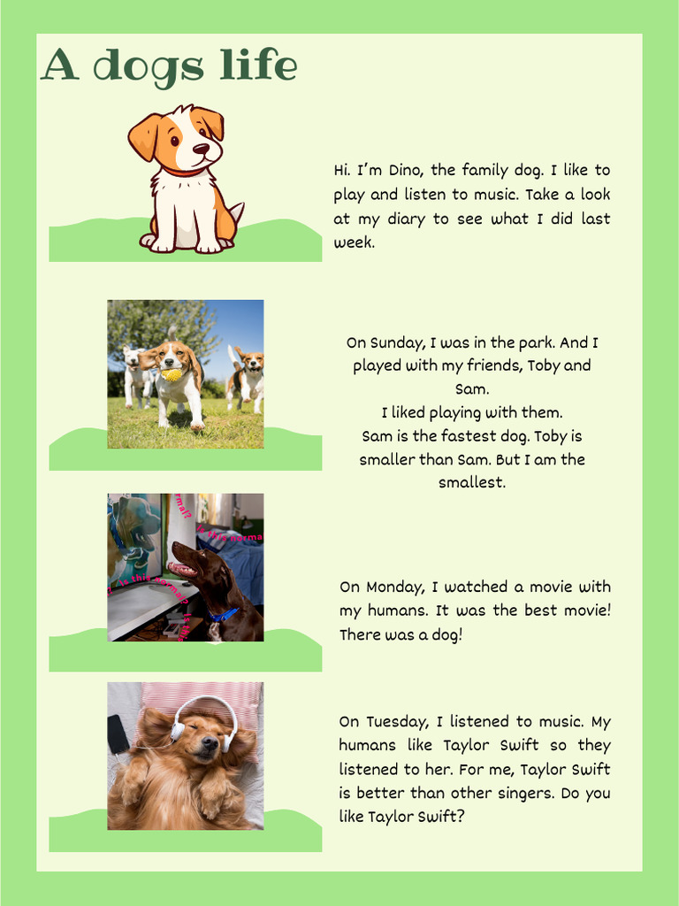A dog's day | PDF