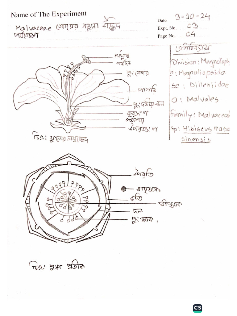Bio 1st 003 | PDF