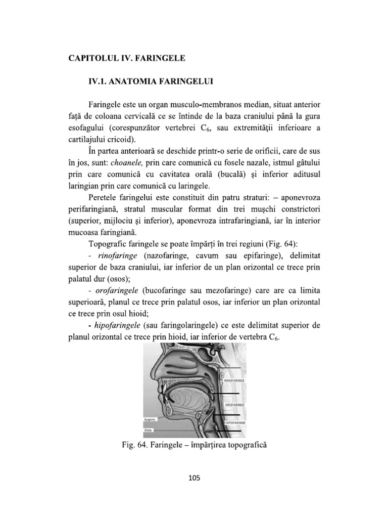 Faringe | PDF
