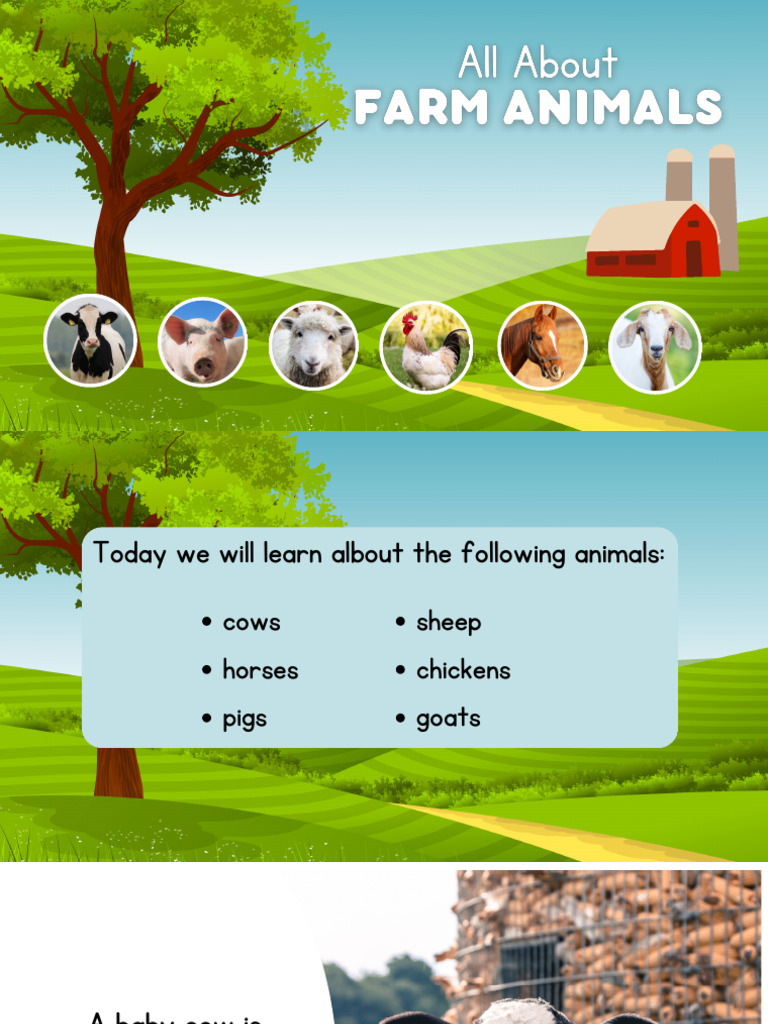 Farm Animals | PDF