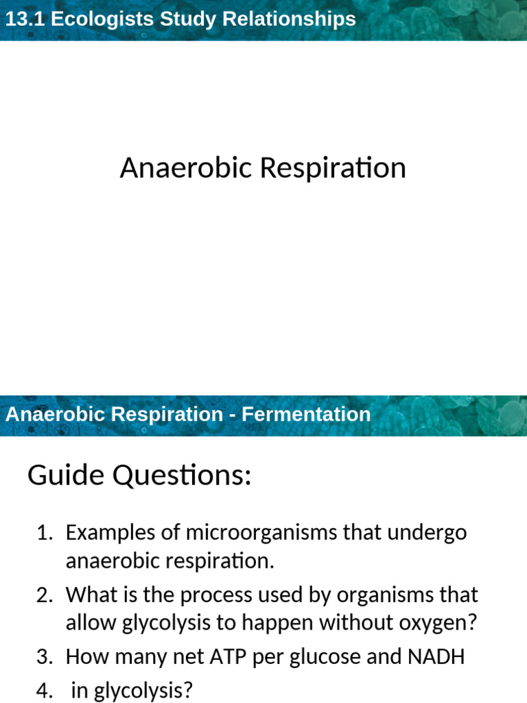 Anaerobic-Respiration LM | PDF | Cellular Respiration | Fermentation