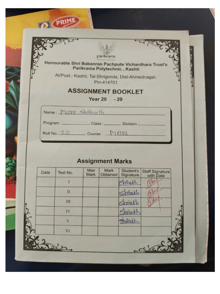 MAN. Assignment | PDF