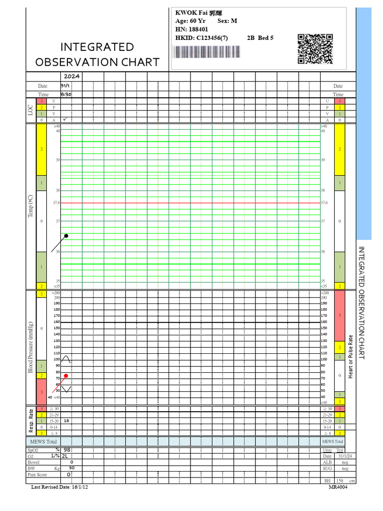 Integrated Patient Observation Chart | PDF | Cardiovascular System ...