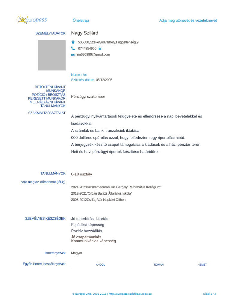 CV Sablon | PDF
