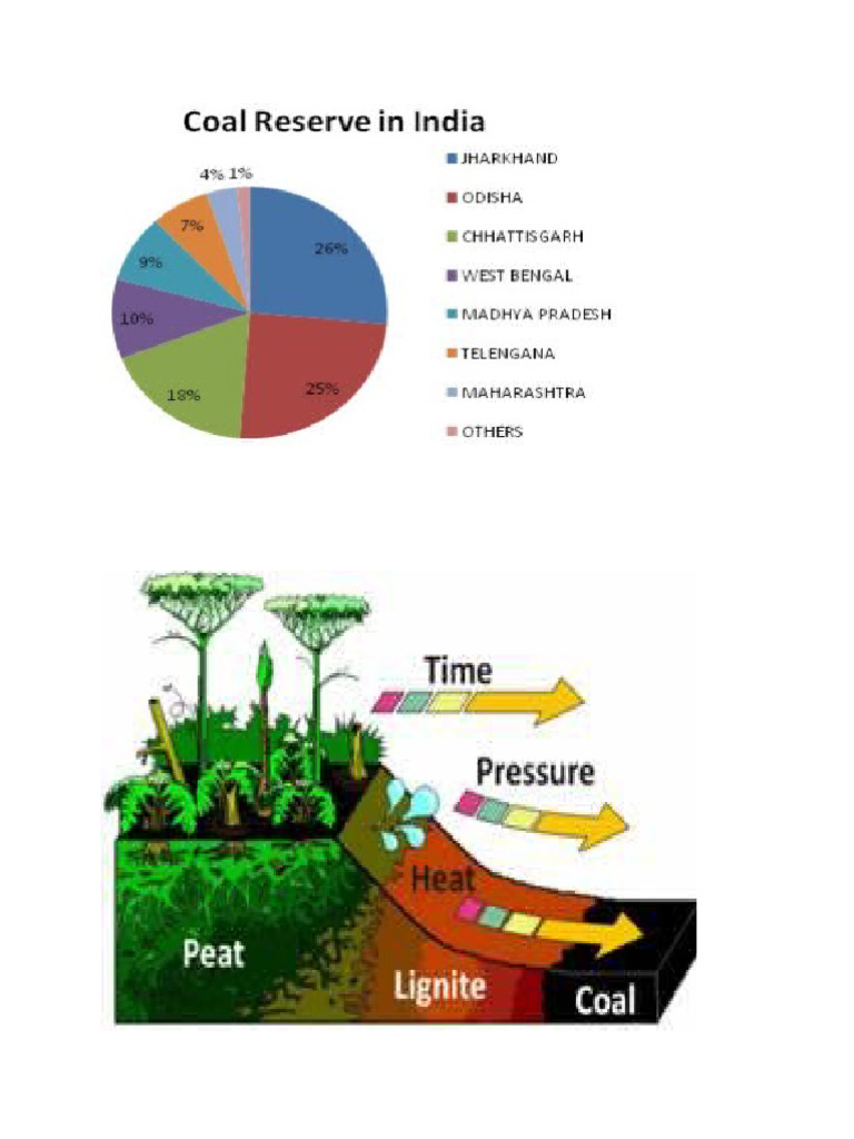 Coal and Petroleum Image | PDF