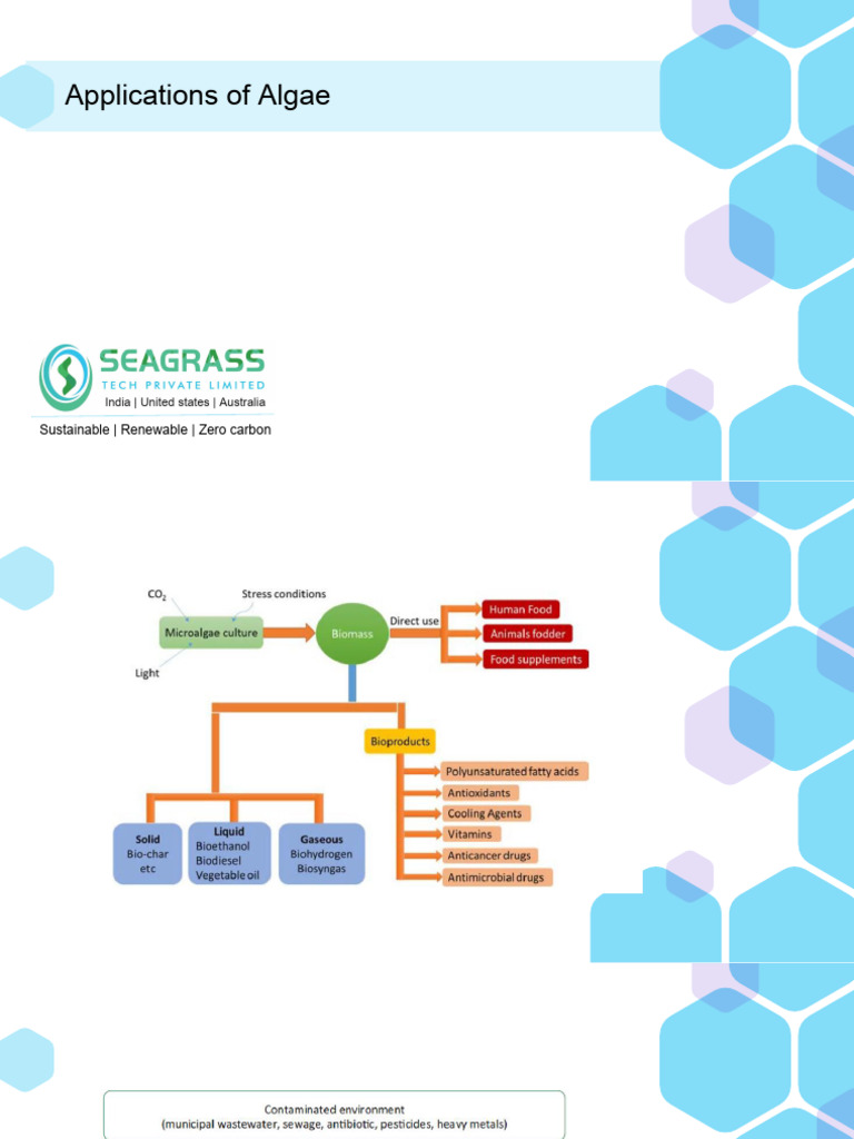 Algae - Wastewater Treatment | PDF