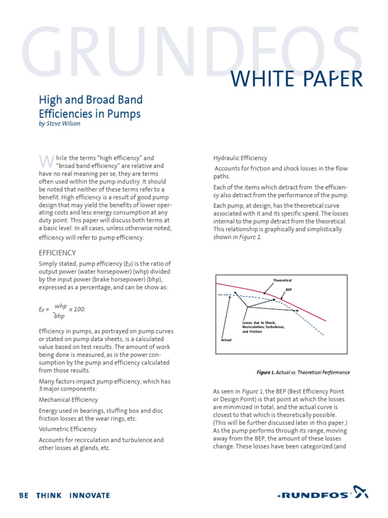 Whitepaper - High and Broad Band Efficiencies in Pumps | PDF | Pump | Horsepower