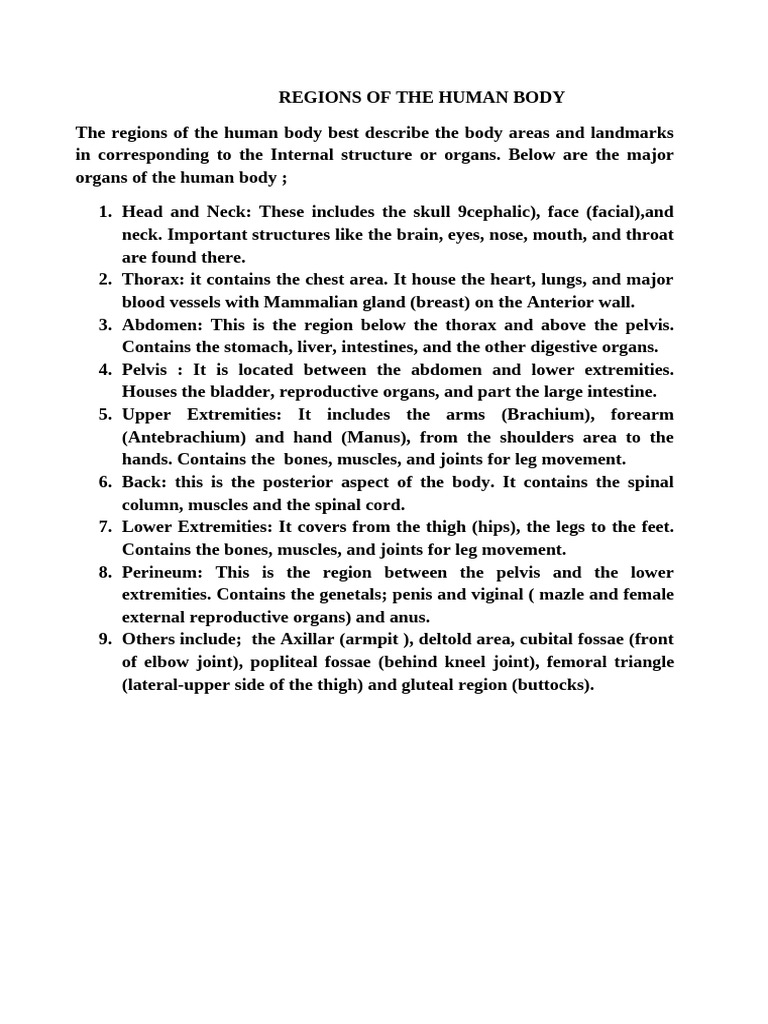 Regions of The Human Body | PDF