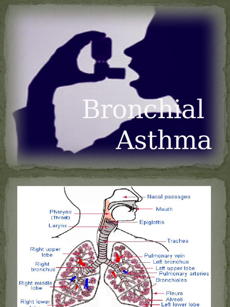 ASTHMA-COPD | PDF | Chronic Obstructive Pulmonary Disease | Asthma