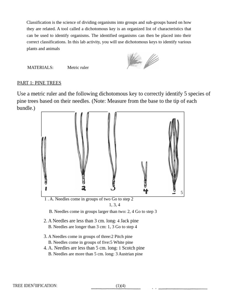 Dichotomous Keys Website | PDF | Fish | Thermoregulation