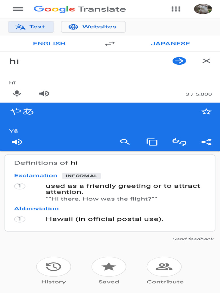 Google Translate | PDF