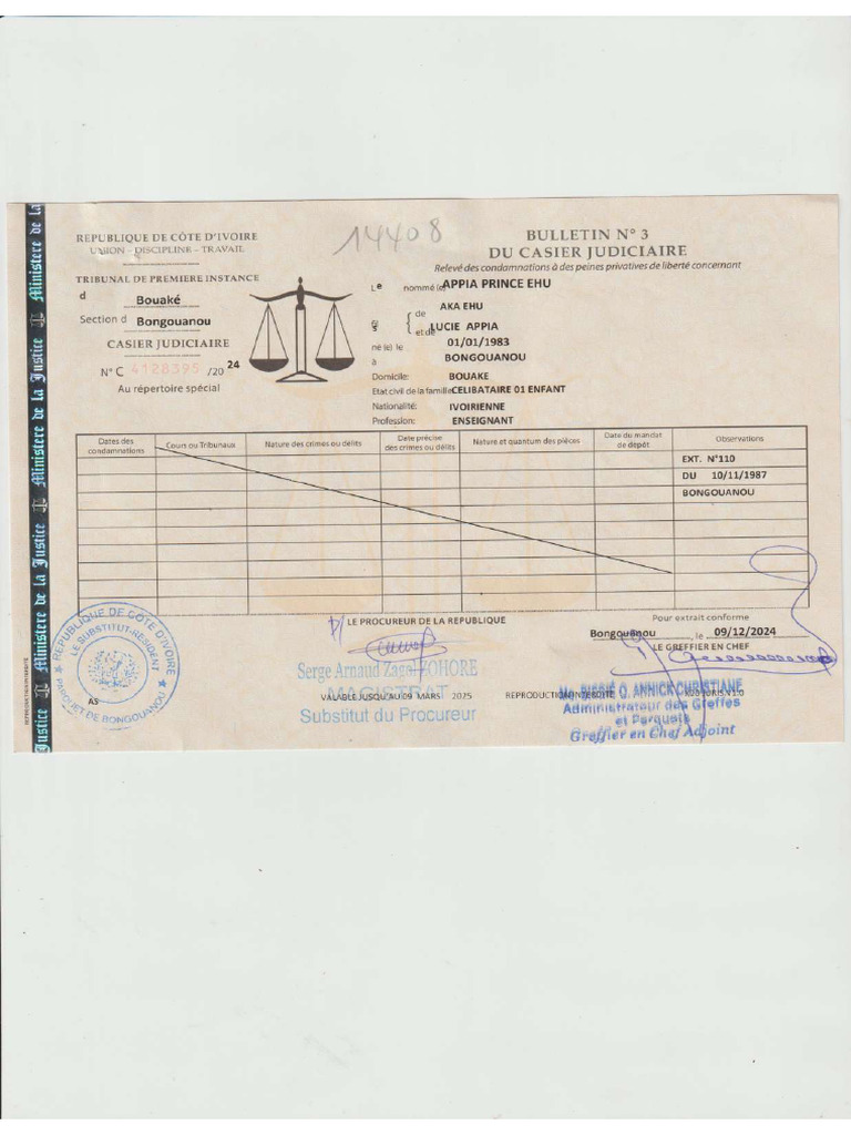 Casier Judiciaire | PDF