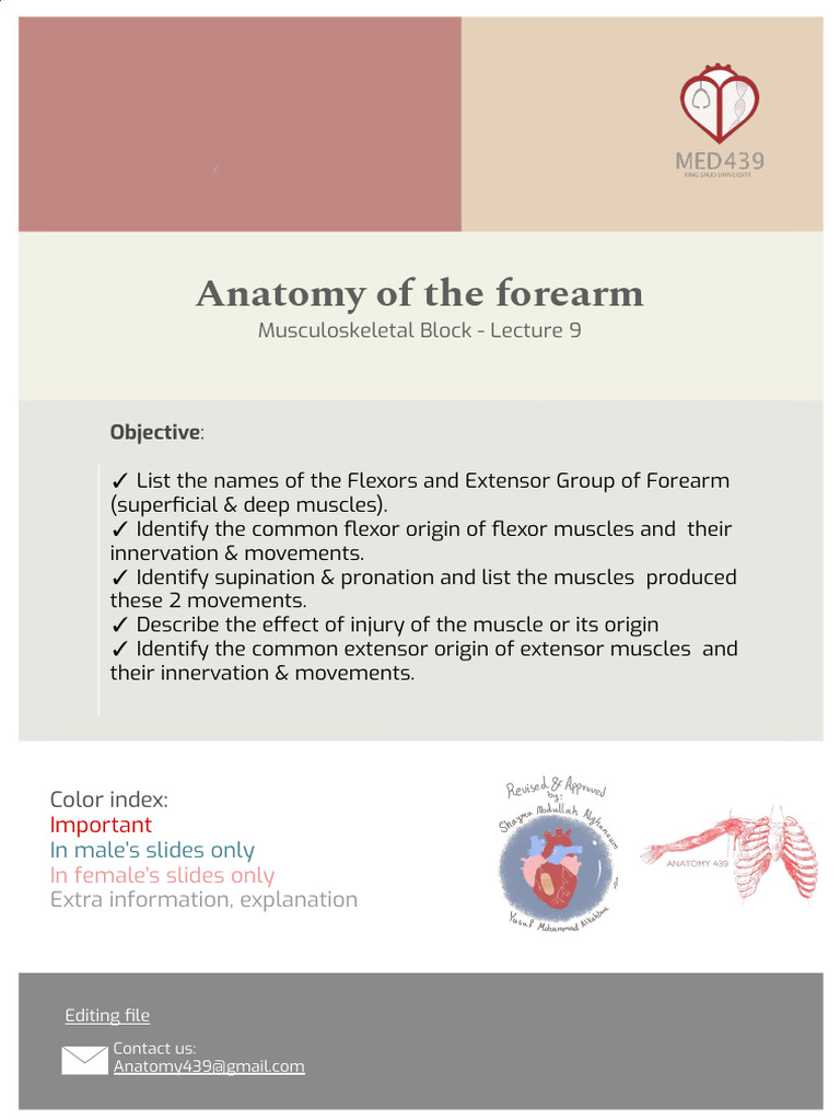 9. Anatomy of the forearm | PDF | Thumb | Anatomical Terms Of Motion