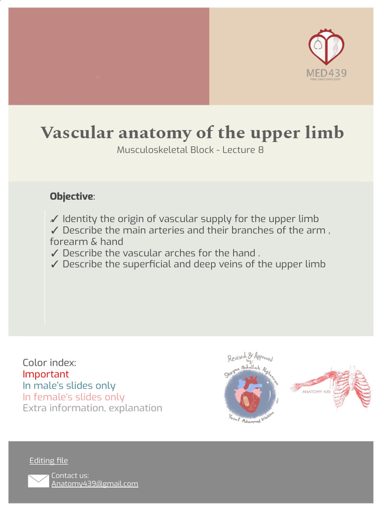 Upper Limb Vascular Anatomy Overview | PDF | Arm | Hand