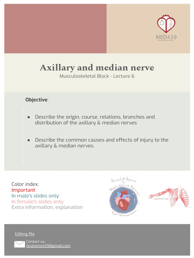 6. Axillary and median nerve | PDF | Arm | Limbs (Anatomy)