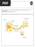 Metaneuron Manual | PDF | Inhibitory Postsynaptic Potential | Membrane ...