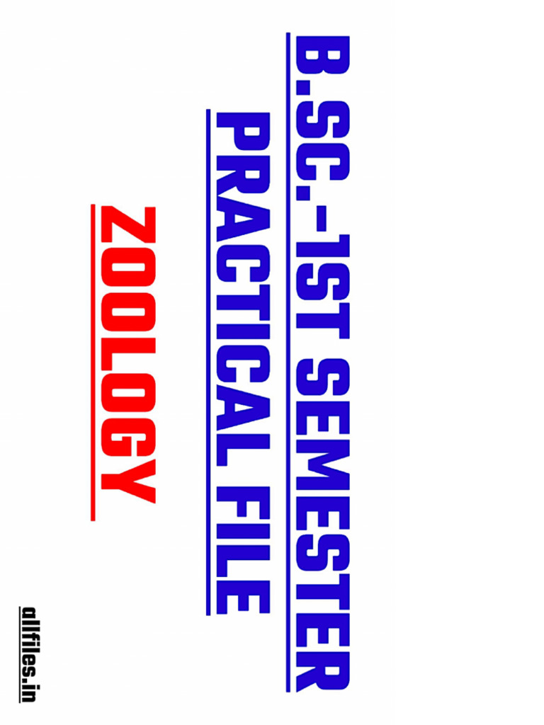 Zoology Practical File 1st | PDF