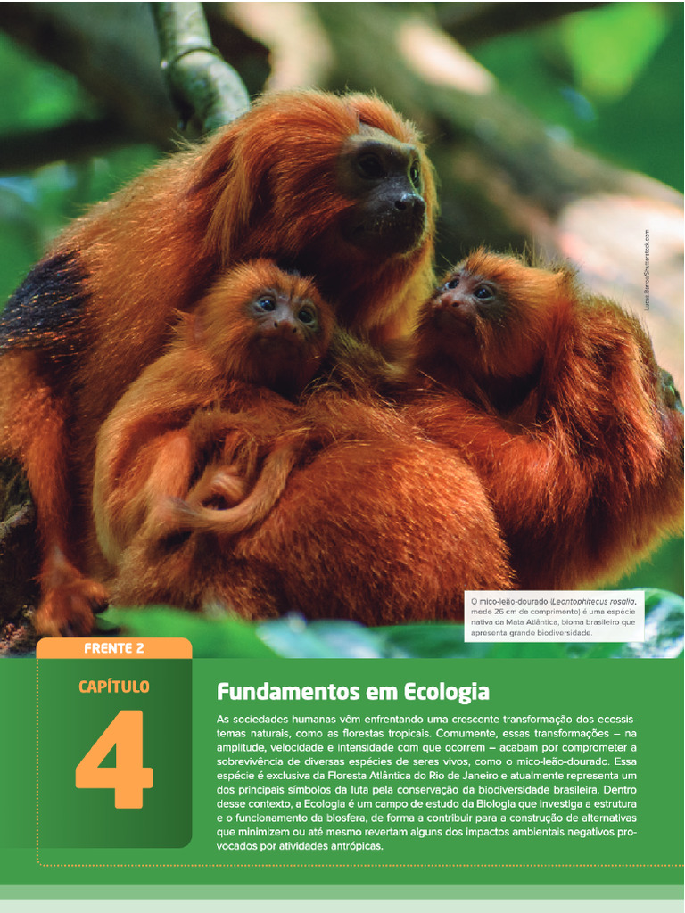 Bio FT 2 Cap 4 Cont | PDF