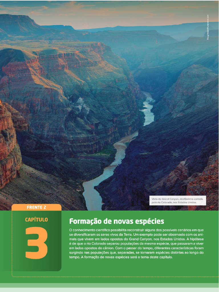 Bio FT 2 Cap 3 Cont | PDF