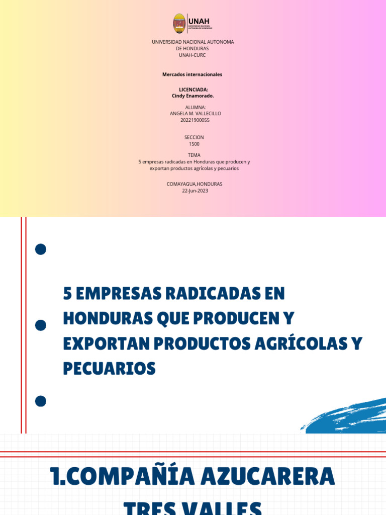 5 Empresas Que Radican en Honduras PDF | PDF | Business | Honduras