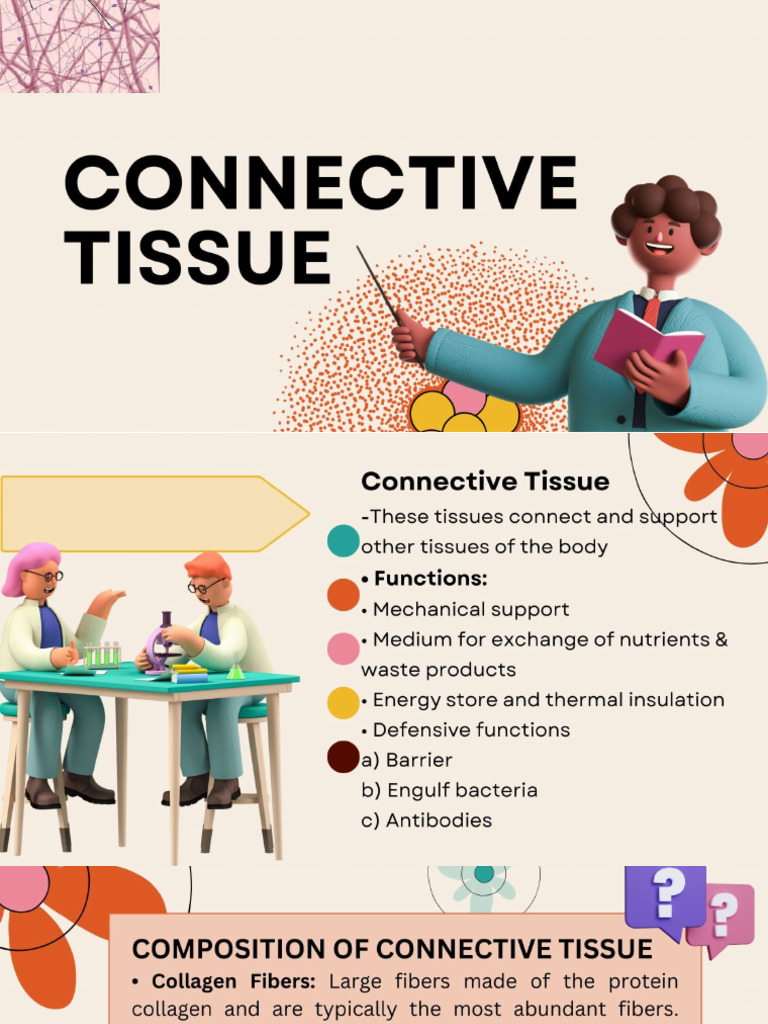Connective Tissue Group 2 | PDF