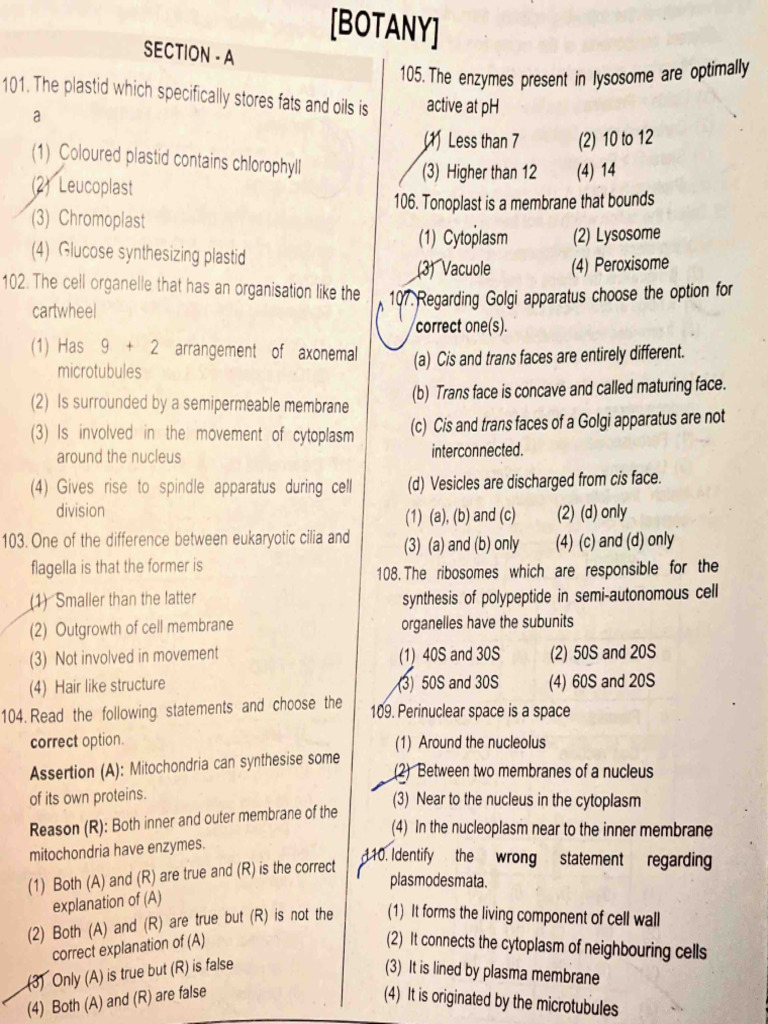 Botany questions | PDF | Organelle | Cell (Biology)