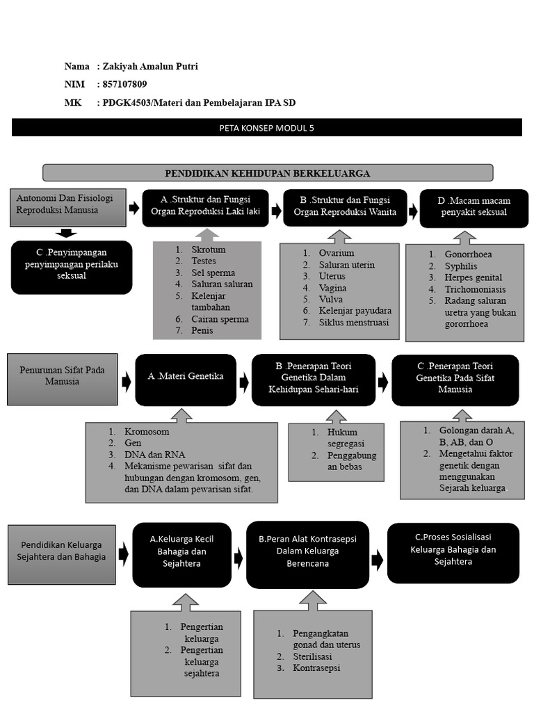 M5 - Materi Dan Pembelajaran Ipa SD | PDF