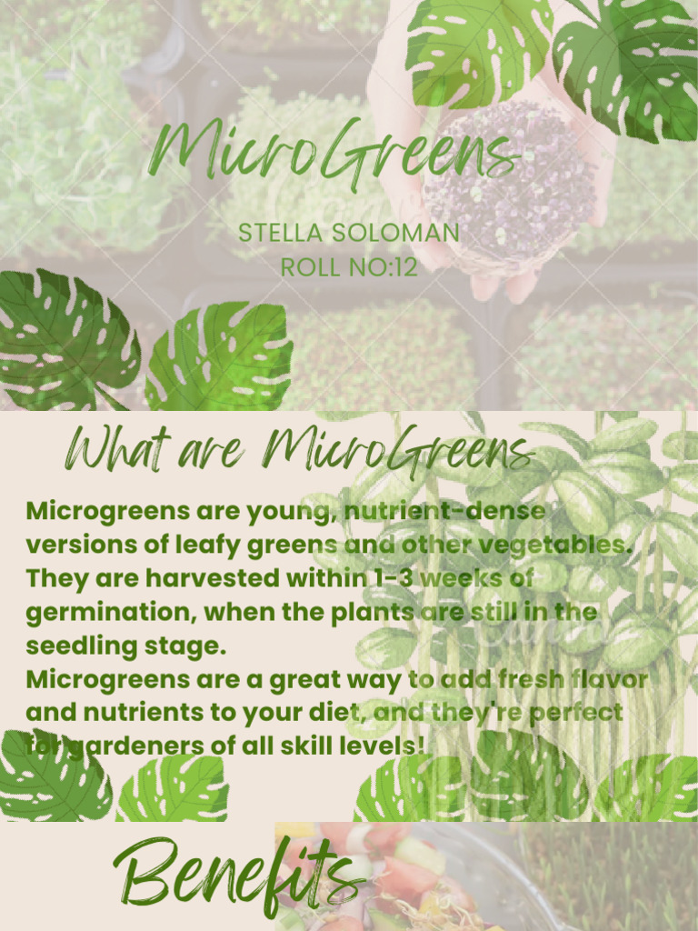 Green Creative Small Business Owner Business Card PDF | PDF