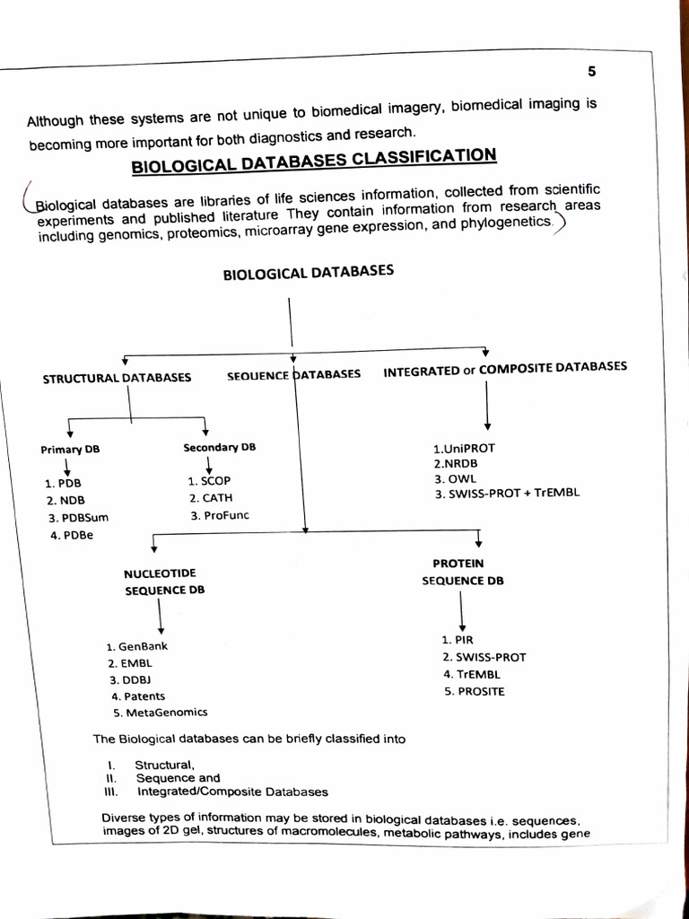 Unit II Bioinformatics | PDF | Genomics | Proteins