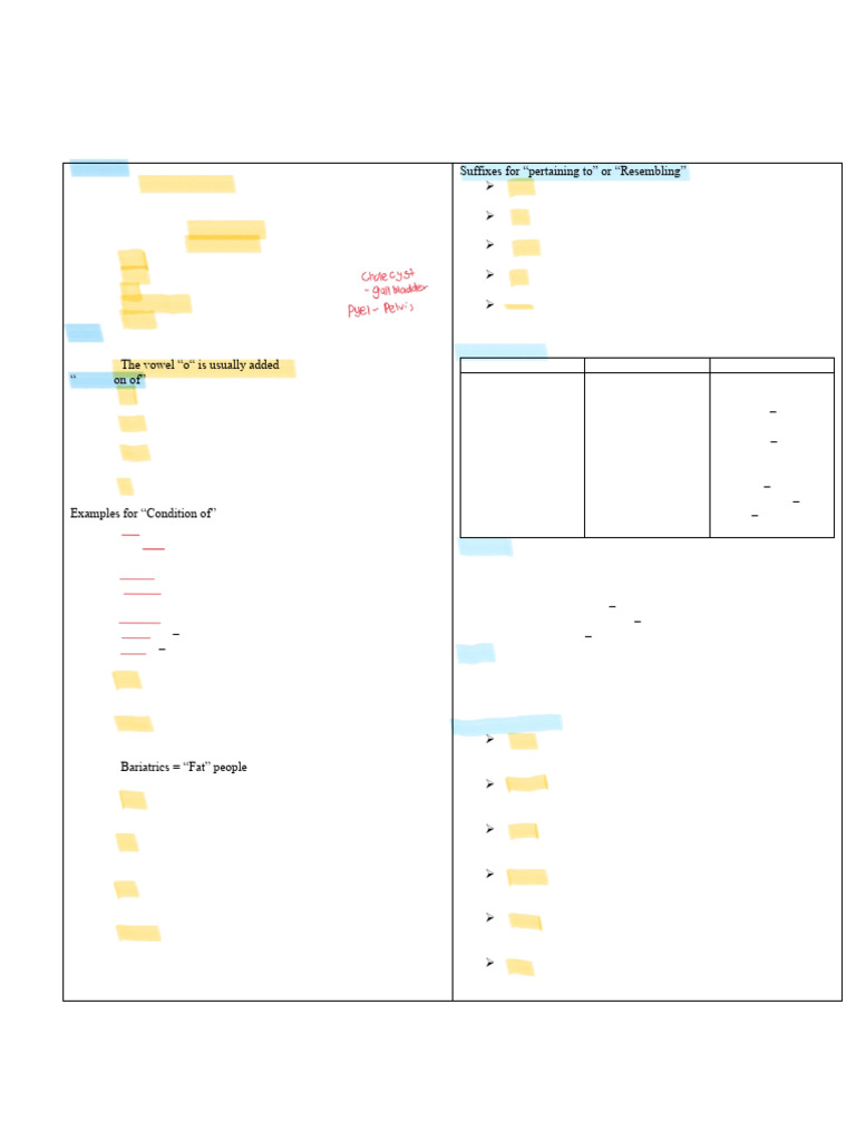 REVIEWER_MEDTERM | PDF | Cell Nucleus | Anatomical Terms Of Location