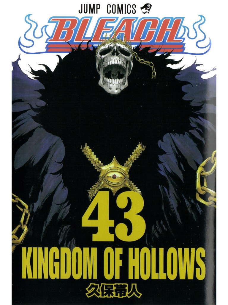 Bleach Vol.43 | PDF