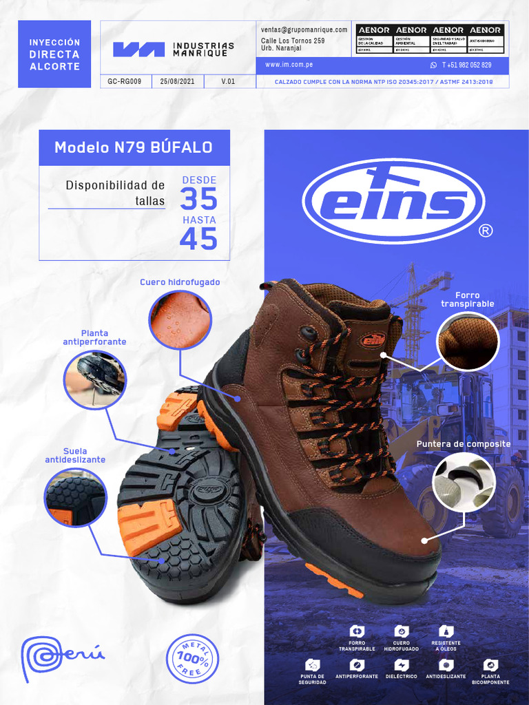 n79 Búfalo Ft 2024 | PDF