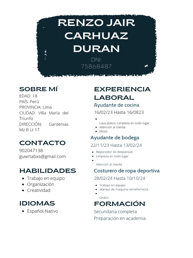 Currículum_básico_y_simple_20241013_200230_0000[1] | PDF