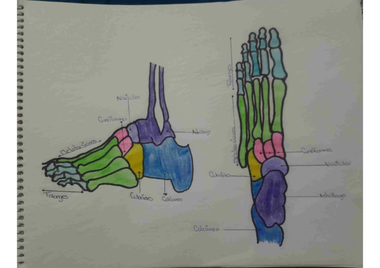 Daniel Tinoco Ferreyra MG4 | PDF