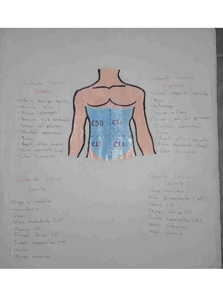 Daniel Tinoco Ferreyra IMG3 | PDF