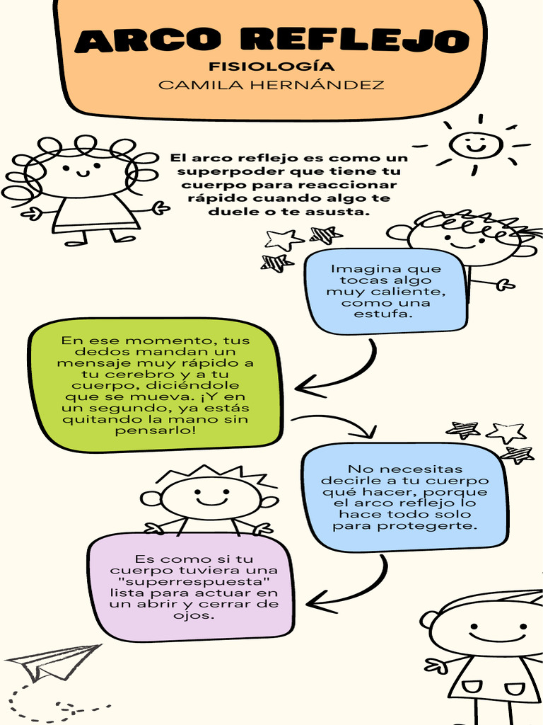 Arco Reflejo: Respuesta Rápida del Cuerpo | PDF