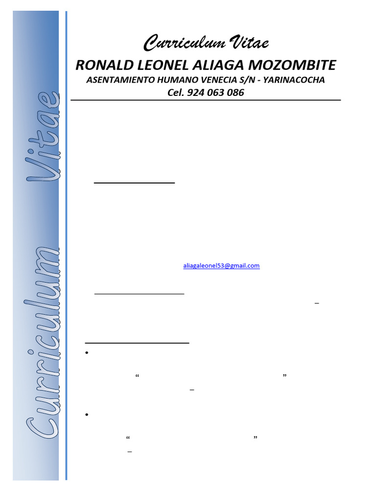 CV RONALD LEONEL ALIAGA MOZOMBITE 2024 | PDF