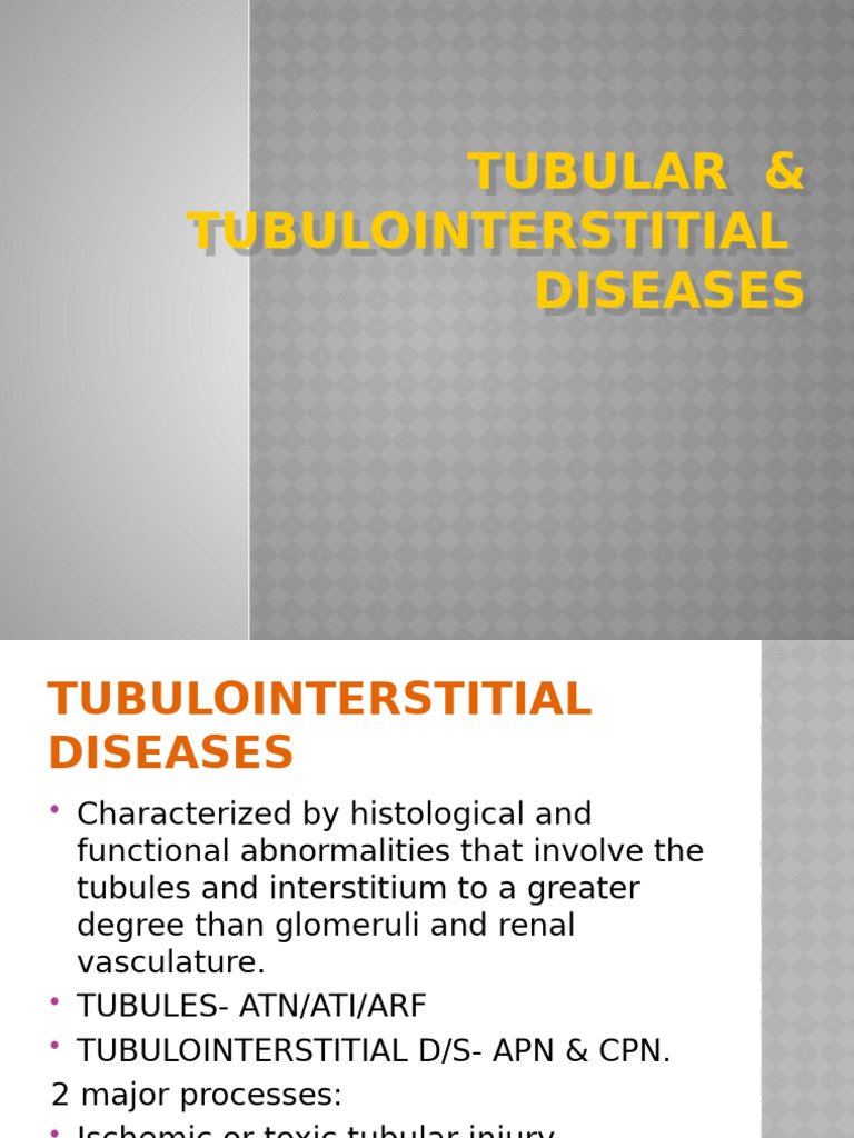 Kidney 4 | PDF | Kidney | Ischemia