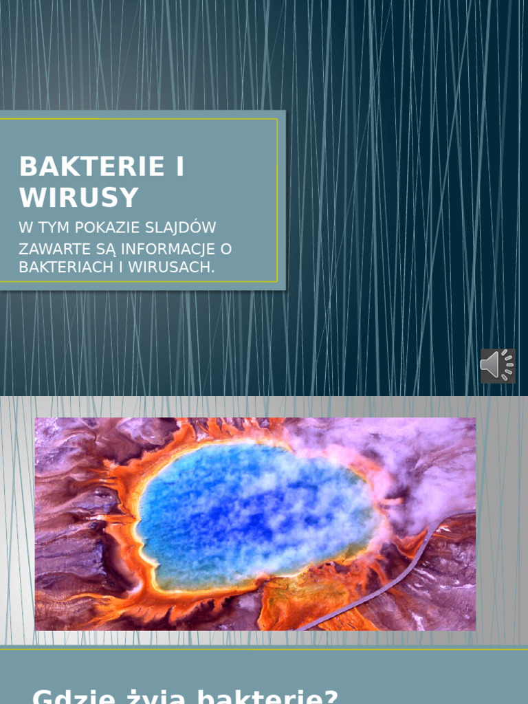 Bakterie I Wirusy | PDF